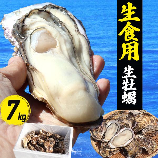 牡蠣小屋の牡蠣！産地直送！宮城県産殻付き牡蠣「生食用」。ポン酢などかけても良し、バーベキューや蒸し牡蠣にも。宮城県の牡蠣は三陸の地形上、牡蠣のエサが豊富なので、全国的に見ても濃厚な味わいと言われています。旨味の詰まった殻付き牡蠣をお楽しみ下...