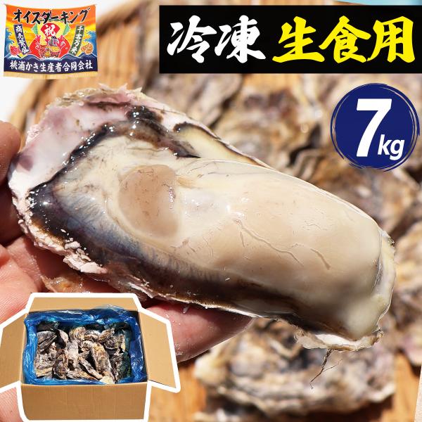 宮城県 牡蠣小屋工場直送!! プルンプルンの牡蠣を生食で1年中お楽しみいただけるよう、身入りのいい時期に冷凍しました。生食用ですが、バーベキューや蒸し牡蠣など加熱してもお召し上がりいただけます。 宮城県の牡蠣は三陸の地形上、牡蠣のエサが豊富...