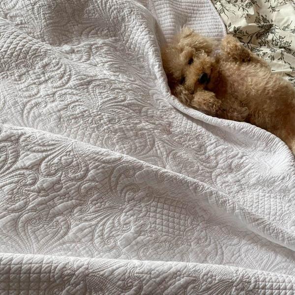 マルチカバー 【サイズ(cm)】200x200【材質】綿100%【商品説明】レース好きのためのキルト、それがホワイトキルトシリーズです。繊細でいてふんわりと軽く、洗濯にも強いとても上質で品のいいシリーズです。真っ白だからと敬遠しがち、でも、...