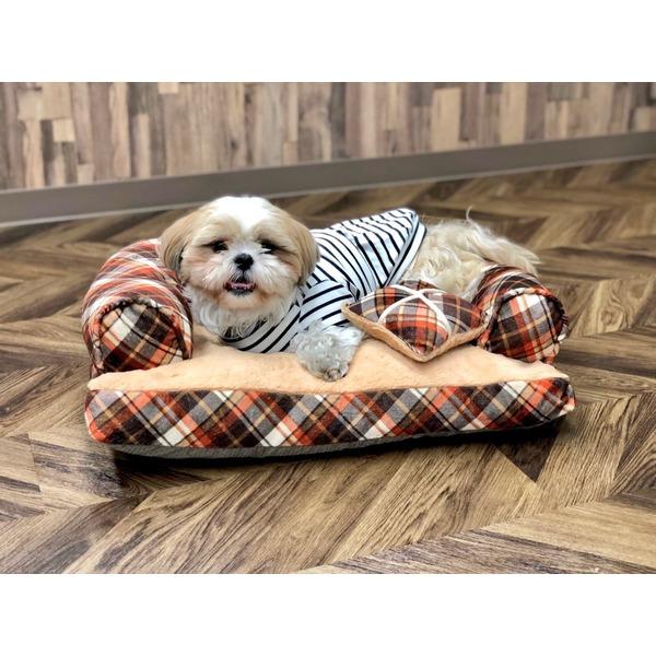 【商品名】 Pet Bed（ペットベッド）あご置きクッション付き オレンジ×キャメル  [ EF-PT06ORCA ]