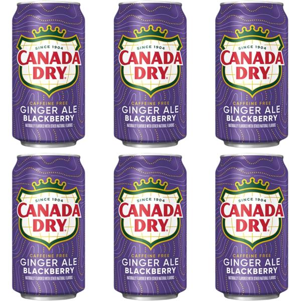 ※賞味期限：2026.04.17【商品の説明】定番のカナダドライ ジンジャーエールに、珍しいブラックベリーの風味が加わった、海外限定フレーバーの炭酸飲料です。ジンジャーエール特有の爽快感と、ブラックベリーのほのかな酸味と芳醇な甘さが絶妙にマ...