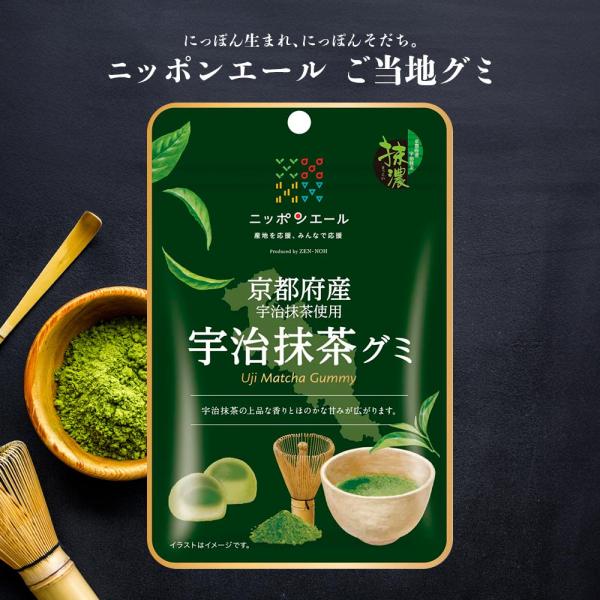 【製品の特長】●ニッポンエールは、「日本全国47都道府県から届けられる日本産のたべものに、そしてにっぽんに、　ここからエールをおくろう。」をコンセプトに誕生したブランドです。●にっぽん生まれ、にっぽん育ち。国産素材の果実グミ●自宅でご当地グ...