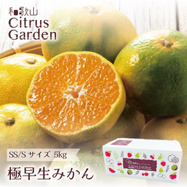 《商品情報》　名称：極早生温州みかん　産地：国産（和歌山県）　内容量：１箱　5kg　・SSかSいずれかのサイズ、またはサイズ混合　・さっぱりとした甘味で果汁がたっぷり。　・程よい酸味で食べやすい。　・糖度が比較的高く、酸味も少ない。　・和歌...