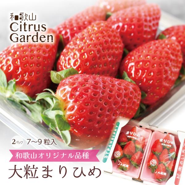 《商品情報》　名称：完熟まりひめいちご　秀品4L〜5Lサイズ　産地：和歌山県　内容量：約７〜９粒x２パック　・和歌山生まれのブランドいちご【まりひめ】　・とろける甘さで香り高く、ジューシー。　・コクのある甘さが特徴。　・特選大粒、希少な４L...