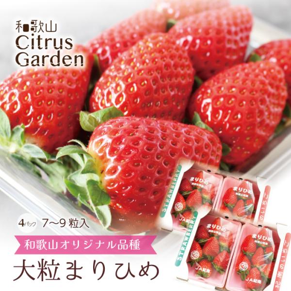 《商品情報》　名称：完熟まりひめいちご　秀品4L〜5Lサイズ　産地：和歌山県　内容量：約７〜９粒x４パック　・和歌山生まれのブランドいちご【まりひめ】　・とろける甘さで香り高く、ジューシー。　・コクのある甘さが特徴。　・特選大粒、希少な４L...