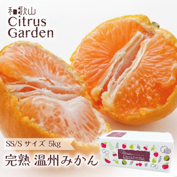 《商品情報》　名称：早生温州みかん　SS/Sサイズ　産地：国産（和歌山県）　内容量：１箱　5kg　・SSかSいずれかのサイズ、またはサイズ混合　・濃厚な甘みと程よい酸味で味のバランスが　　良く、食べやすい。　・和歌山県産の紀南みかん。　・栽...