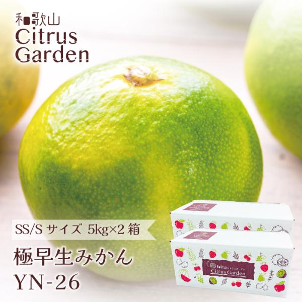 《商品情報》　名称：極早生みかんYN26　産地：国産（和歌山県）　内容量：5kgx2箱（計10kg）　・SSかSいずれかのサイズ、またはサイズ混合　・さっぱりとした甘味で果汁がたっぷり。　・程よい酸味で食べやすい。　・糖度が比較的高く、酸味...
