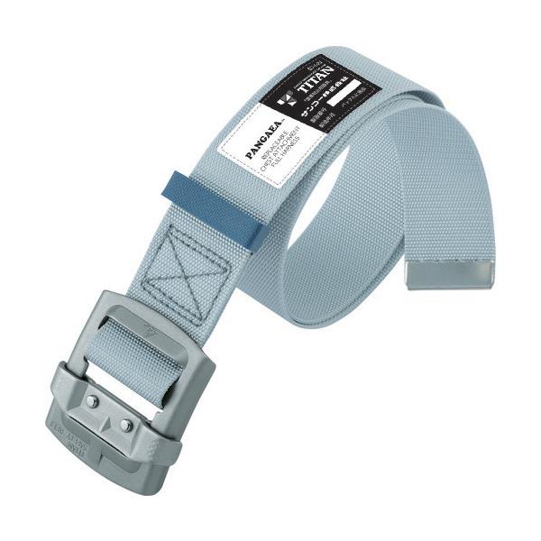 サンコー（株）型式：PHAB-SI色：シルバーベルト幅：50mmベルト長さ：1200mmフルハーネス・パンゲア（ＰＡＮＧＡＥＡ）用作業ベルト