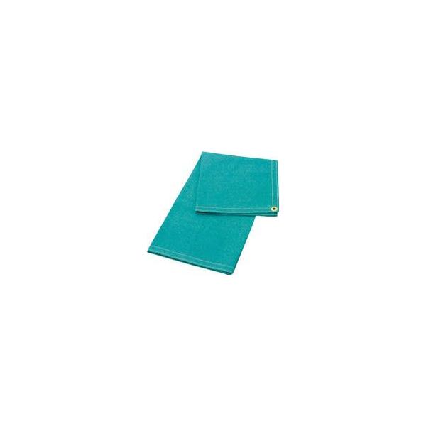 トラスコ中山（株）規格：JIS A1323 A種合格厚み：約１.３mmサイズ：９２０mm×１９２０mm質量：１.４４Kgハトメ数：１２個ハトメピッチ：Ａ(４４０mm)Ｂ(４７０mm)材質：耐炎繊維織物／カラーシリコン片面加工溶接火花受け作業...