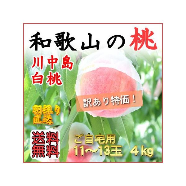 【発売日：2026年07月25日】商品説明名称 和歌山田中農園の桃 川中島白桃 訳あり4ｋg　10玉〜15玉産地 和歌山内容量 訳あり　4kg玉数の指定出来ません。送料 送料無料(北海道の場合は送料700円、沖縄の場合は送料1500円必要に...