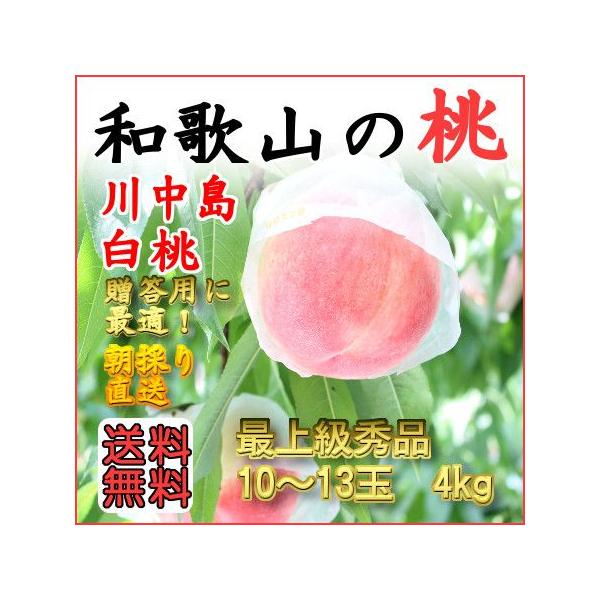 【発売日：2026年07月25日】商品説明名称 和歌山田中農園の桃 川中島白桃 贈答用秀品4ｋg　10玉〜13玉産地 和歌山内容量 贈答用秀品　4kg玉数の指定出来ません。送料 送料無料(北海道の場合は送料700円、沖縄の場合は送料1500...