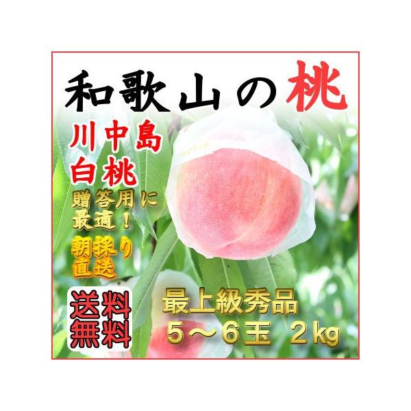 【発売日：2026年07月25日】商品説明名称 和歌山田中農園の桃 川中島白桃 贈答用秀品2ｋg　5玉〜6玉産地 和歌山内容量 贈答用秀品　2kg玉数の指定出来ません。送料 送料無料(北海道の場合は送料700円、沖縄の場合は送料1500円必...