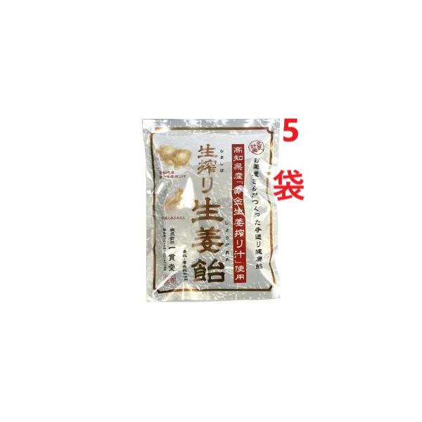 生搾り 生姜飴 90g 5袋高知県産『黄金生姜搾り汁』を使用「お薬屋さんがつくった」手造り健康飴シリーズ商品生姜の旨みと辛さにビックリする飴またなめたくなる香ばしさ　創業明治23年　　　飛騨高山の老舗　打保屋さん謹製　　　　　大人気の「生搾...