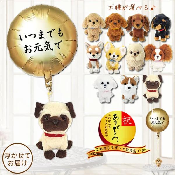 犬好きな おばあちゃん、おじいちゃんに喜ばれる贈り物お祝いや感謝の気持ちを、もっと楽しく、もっと心温まる形で伝えたいあなたにぴったりな商品がこちら！「PUPSパプス犬のぬいぐるみ」とふわふわ浮かぶ「いつまでもお元気で」のメッセージ入りバルー...
