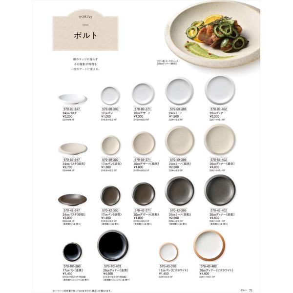 ポルト 24cmパスタ（絹衣） 570-59-847 HOTEL&amp;RESTAURANT WARE Vol.22 カネスズ セラミックスD24×H4D24×H4