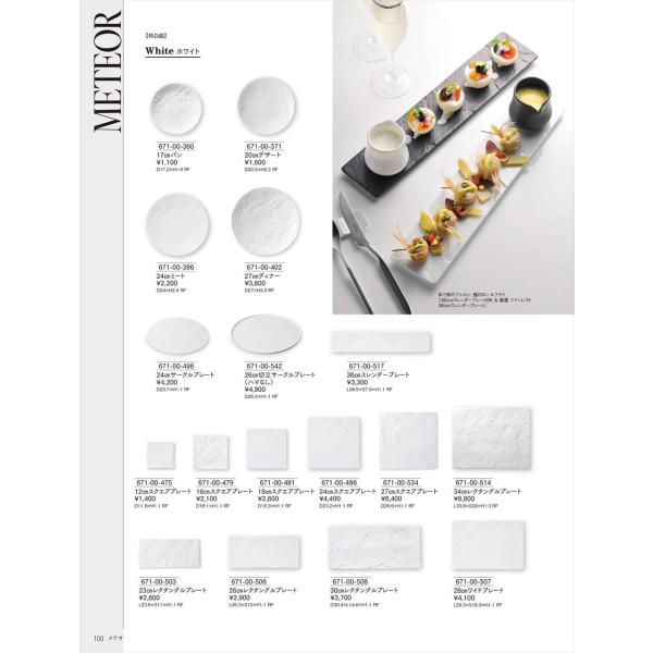 メテオ 24cmミート（ホワイト） 671-00-386 特白磁 HOTEL&amp;RESTAURANT WARE Vol.22 カネスズ セラミックスD24×H2.4D24×H2.4