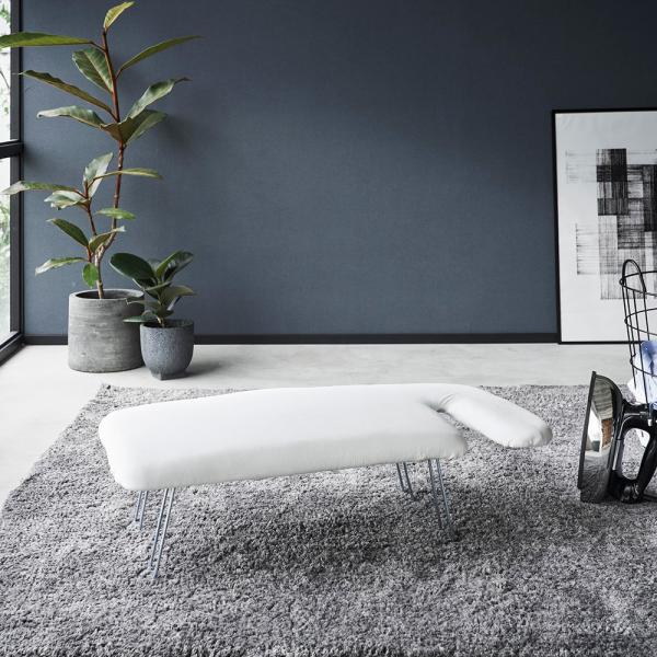 袖口や裾などの細かい仕上げに便利な一体型の仕上げ馬。ワイド天板に着せ掛けて一気にアイロン掛け。スライド式ハンガーフックで掛けて収納できます！スチールメッシュ構造なので、熱に強く丈夫で長持ち！スチームの通りがよく、パリッとキレイに仕上がります...