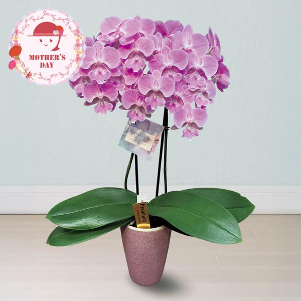 ------------ 　【おすすめ用途】※熨斗やギフト包装対応ができない場合がございます。各商品ページでご確認ください。 内祝 出産 結婚 新築 快気祝 開店 開業 結納 香典 引き出物 結婚式 法事 お礼 謝礼 御礼 お祝い ご新築祝...