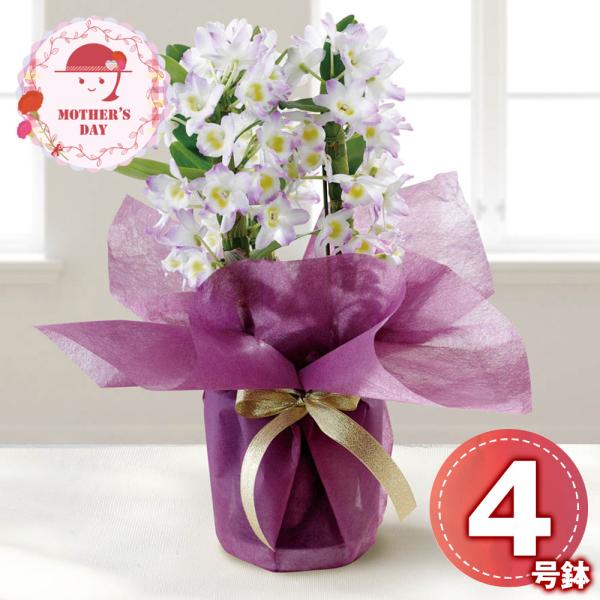 ------------ 　【おすすめ用途】※熨斗やギフト包装対応ができない場合がございます。各商品ページでご確認ください。 内祝 出産 結婚 新築 快気祝 開店 開業 結納 香典 引き出物 結婚式 法事 お礼 謝礼 御礼 お祝い ご新築祝...