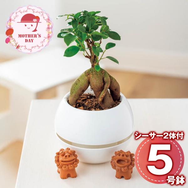 ------------ 　【おすすめ用途】※熨斗やギフト包装対応ができない場合がございます。各商品ページでご確認ください。 内祝 出産 結婚 新築 快気祝 開店 開業 結納 香典 引き出物 結婚式 法事 お礼 謝礼 御礼 お祝い ご新築祝...