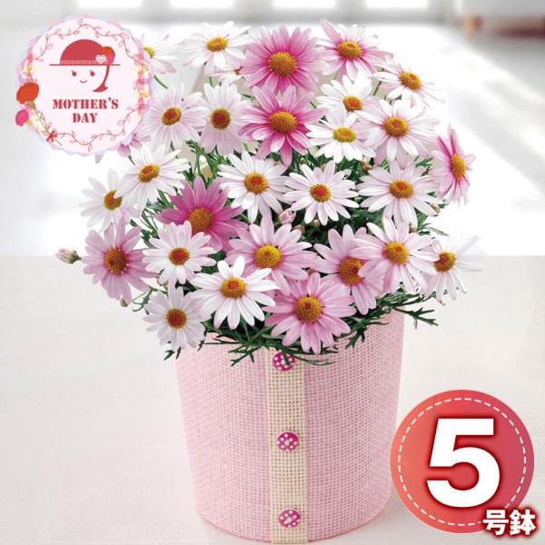 ------------ 　【おすすめ用途】※熨斗やギフト包装対応ができない場合がございます。各商品ページでご確認ください。 内祝 出産 結婚 新築 快気祝 開店 開業 結納 香典 引き出物 結婚式 法事 お礼 謝礼 御礼 お祝い ご新築祝...