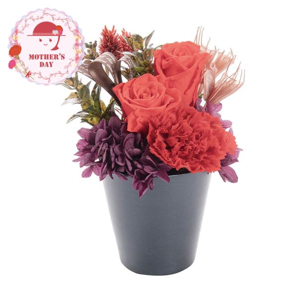 ------------ 　【おすすめ用途】※熨斗やギフト包装対応ができない場合がございます。各商品ページでご確認ください。 内祝 出産 結婚 新築 快気祝 開店 開業 結納 香典 引き出物 結婚式 法事 お礼 謝礼 御礼 お祝い ご新築祝...