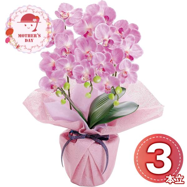 ------------ 　【おすすめ用途】※熨斗やギフト包装対応ができない場合がございます。各商品ページでご確認ください。 内祝 出産 結婚 新築 快気祝 開店 開業 結納 香典 引き出物 結婚式 法事 お礼 謝礼 御礼 お祝い ご新築祝...