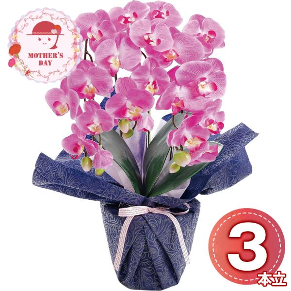 ------------ 　【おすすめ用途】※熨斗やギフト包装対応ができない場合がございます。各商品ページでご確認ください。 内祝 出産 結婚 新築 快気祝 開店 開業 結納 香典 引き出物 結婚式 法事 お礼 謝礼 御礼 お祝い ご新築祝...