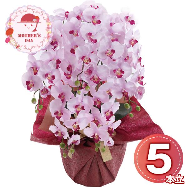 ------------ 　【おすすめ用途】※熨斗やギフト包装対応ができない場合がございます。各商品ページでご確認ください。 内祝 出産 結婚 新築 快気祝 開店 開業 結納 香典 引き出物 結婚式 法事 お礼 謝礼 御礼 お祝い ご新築祝...