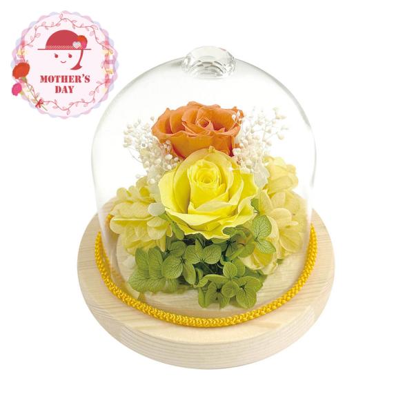 ------------ 　【おすすめ用途】※熨斗やギフト包装対応ができない場合がございます。各商品ページでご確認ください。 内祝 出産 結婚 新築 快気祝 開店 開業 結納 香典 引き出物 結婚式 法事 お礼 謝礼 御礼 お祝い ご新築祝...