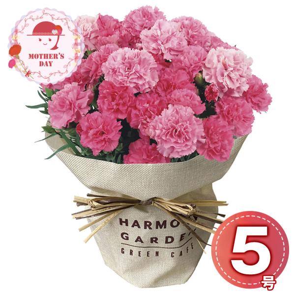 ------------ 　【おすすめ用途】※熨斗やギフト包装対応ができない場合がございます。各商品ページでご確認ください。 内祝 出産 結婚 新築 快気祝 開店 開業 結納 香典 引き出物 結婚式 法事 お礼 謝礼 御礼 お祝い ご新築祝...