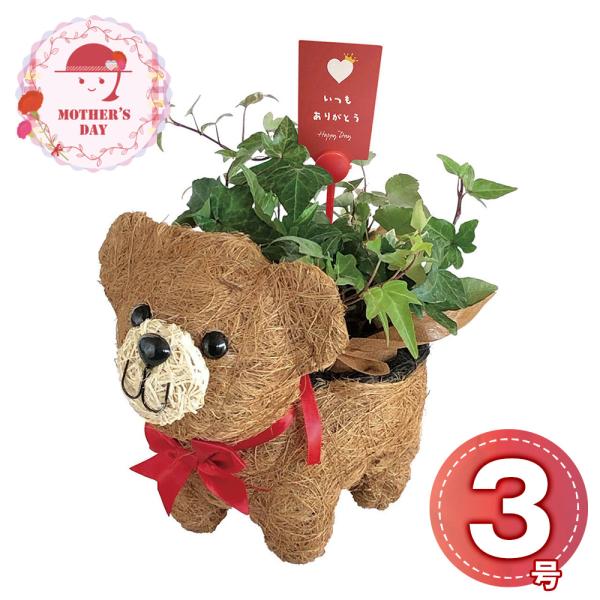 ------------ 　【おすすめ用途】※熨斗やギフト包装対応ができない場合がございます。各商品ページでご確認ください。 内祝 出産 結婚 新築 快気祝 開店 開業 結納 香典 引き出物 結婚式 法事 お礼 謝礼 御礼 お祝い ご新築祝...