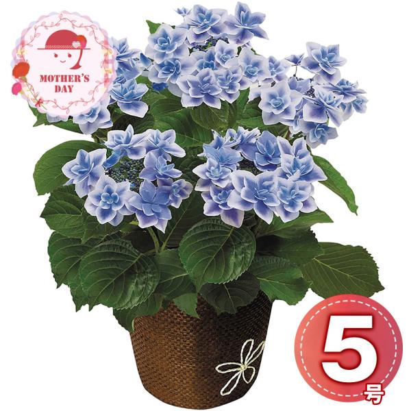 ------------ 　【おすすめ用途】※熨斗やギフト包装対応ができない場合がございます。各商品ページでご確認ください。 内祝 出産 結婚 新築 快気祝 開店 開業 結納 香典 引き出物 結婚式 法事 お礼 謝礼 御礼 お祝い ご新築祝...