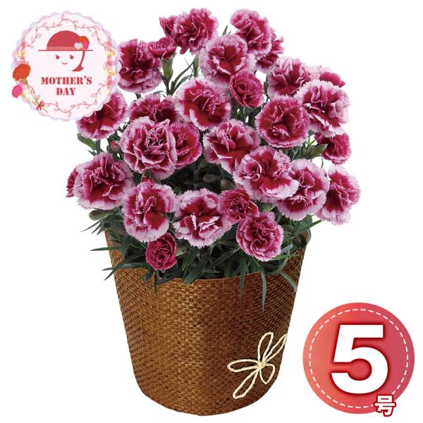 ------------ 　【おすすめ用途】※熨斗やギフト包装対応ができない場合がございます。各商品ページでご確認ください。 内祝 出産 結婚 新築 快気祝 開店 開業 結納 香典 引き出物 結婚式 法事 お礼 謝礼 御礼 お祝い ご新築祝...