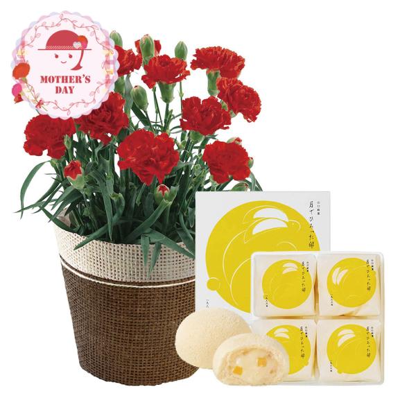 ------------ 　【おすすめ用途】※熨斗やギフト包装対応ができない場合がございます。各商品ページでご確認ください。 内祝 出産 結婚 新築 快気祝 開店 開業 結納 香典 引き出物 結婚式 法事 お礼 謝礼 御礼 お祝い ご新築祝...