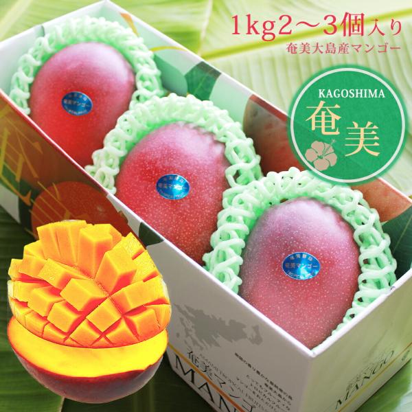 【発売日：2024年07月15日】【メーカー直送】MMfarm 奄美大島産 マンゴー 1kgセット 2〜3個入り 化粧箱付き 熨斗無料対応 極上 希少 特別栽培 自然栽培 こだわり肥料 御中元 御歳暮 ギフト 贈り物 美味しい 格別 エムエ...