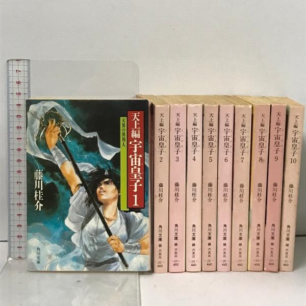 10冊セット。表紙にスレ、ヨレ、ヤケ、シミ、傷み、天地小口にヤケ、シミ、本にヤケ、シミ、があります。本を読むことに支障はございません。※注意事項※■商品・状態はコンディションガイドラインに基づき、判断・出品されております。■付録等の付属品が...