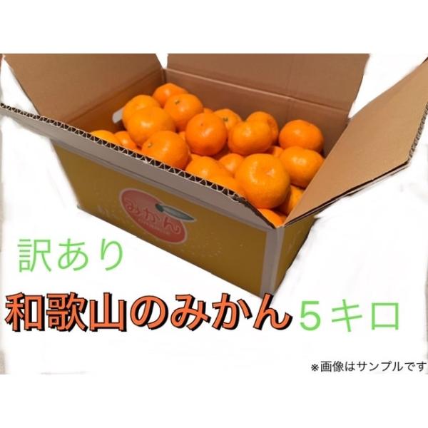 訳ありみかん5キロです。9〜10月頃は極早生みかん、10〜11月頃は早生みかん、11月〜12月頃は中生みかんを配送します。現在、早生みかんです和歌山県海南市、有田市で収穫しました。サイズは、3S~でさまざまです。発送は、1~5営業日以内に行...