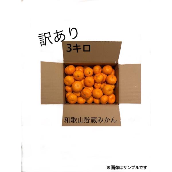 訳ありみかん3キロです。貯蔵みかんです。和歌山県海南市、有田市で収穫しました。サイズは、3S~でさまざまです。発送は、1~5営業日以内に行います。