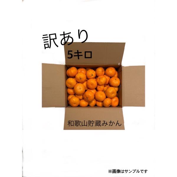 訳ありみかん5キロです。貯蔵みかんです。和歌山県海南市、有田市で収穫しました。サイズは、3S~でさまざまです。発送は、1~5営業日以内に行います。