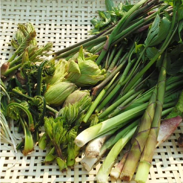 お任せ山菜セットになります。詰め合わせる山菜は旬のものから選ばせていただきます。申し訳ありませんが、山菜の指定はできかねますので、予めご了承ください。山菜は３種類以上の盛り合わせになります。