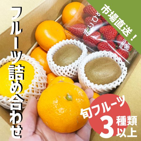 和歌山県産を中心に、全国から集まる季節のフルーツ３種類以上を詰め合わせました。詰め合わせ内容は届いてからのお楽しみとなり、春は…いちご、清見オレンジ、しらぬい（デコポン）など夏は…桃、ぶどう、すいかなど秋は…いちじく、柿、みかんなど冬は…み...