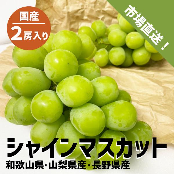 国産の旬のシャインマスカットを２房詰めてお届けします！山梨県をはじめ、長野県、和歌山県などの産地から、お手頃サイズの約350g以上を２房をセット。ちょっとしたギフトにもおすすめです。●国産（山梨県、長野県、和歌山県など）●サイズ：１房約35...