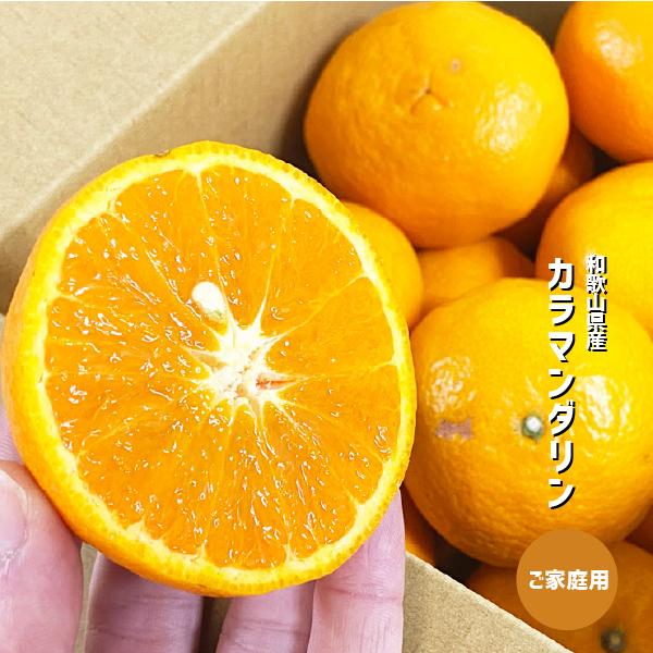 和歌山県産の「カラマンダリン」を入荷しました！カラマンダリンは「春みかん」と呼ばれ、春から初夏にかけてお楽しみいただける柑橘です。外皮は冬のみかんに比べて硬めではありますが、中の実ははがれやすく食べやすい柑橘です。食味はみかんのような風味も...