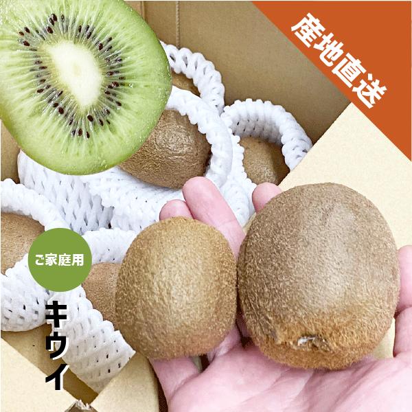和歌山県は全国有数のキウイの大産地です！お送りするキウイは主にヘイワード種で果肉は緑色。完熟になると果肉はなめらかで、さっぱりとした食味です。キウイを生でお召し上がりいただく他・キウイジャム・キウイソース・スムージーなどの加工用にもお楽しみ...