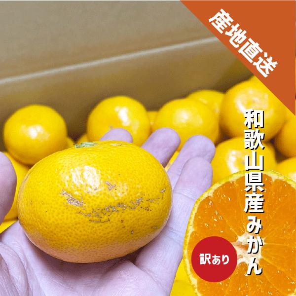 和歌山県を代表するフルーツ「みかん」です！みかんの大産地からS〜Lサイズ混合でお届けします。和歌山は言わずと知れたみかんの大産地。11月から１月中旬頃にかけて、早生から晩生品種のうんしゅうみかんが収穫されます。みかんは時期が遅くなるにつれて...