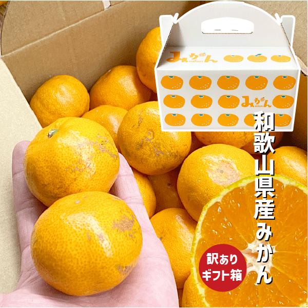 和歌山県を代表するフルーツ「みかん」のシーズンが始まりました！みかんの大産地からS〜Lサイズ混合でお届けします。和歌山は言わずと知れたみかんの大産地。11月から１月中旬頃にかけて、早生から晩生品種のうんしゅうみかんが収穫されます。みかんは時...