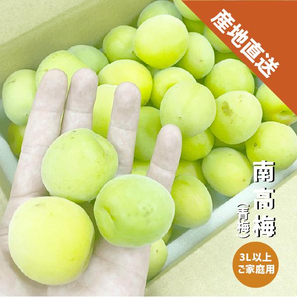 梅の中では最上級とされる和歌山県特産の「南高梅」です。・梅酒・梅ジュース・スムージーなどの加工用にもお楽しみくださいませ！※梅干しも作れないことはないですが、赤みを帯びた熟した果実がおすすめです。●和歌山県産●サイズ：3Lサイズ以上●容量：...