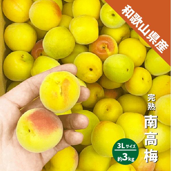 梅の中では最上級とされる和歌山県特産の「南高梅」です。梅干しに最適な完熟梅です。一般的に梅ジュースやシロップは青梅がおすすめとされていますが、南高梅はいずれの料理も対応できる優れもの。３Lサイズの大玉で梅仕事をお楽しみくださいませ！※きれい...
