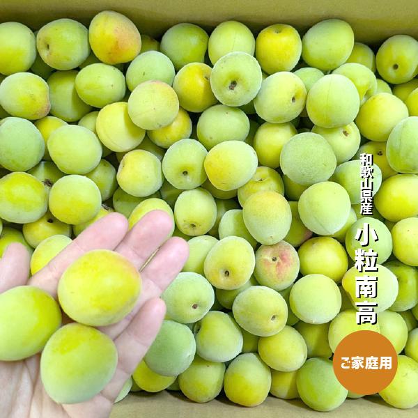 梅の中では最上級とされる和歌山県特産の「南高梅」のいいところを引き継いだ小粒「小粒南高」をお届けします！小粒南高は南高梅の皮の薄さや肉厚さを引き継いだ品種になります。実は小さいですが、種も小さく、甘露煮や梅干しなどではたくさんの実がとれます...